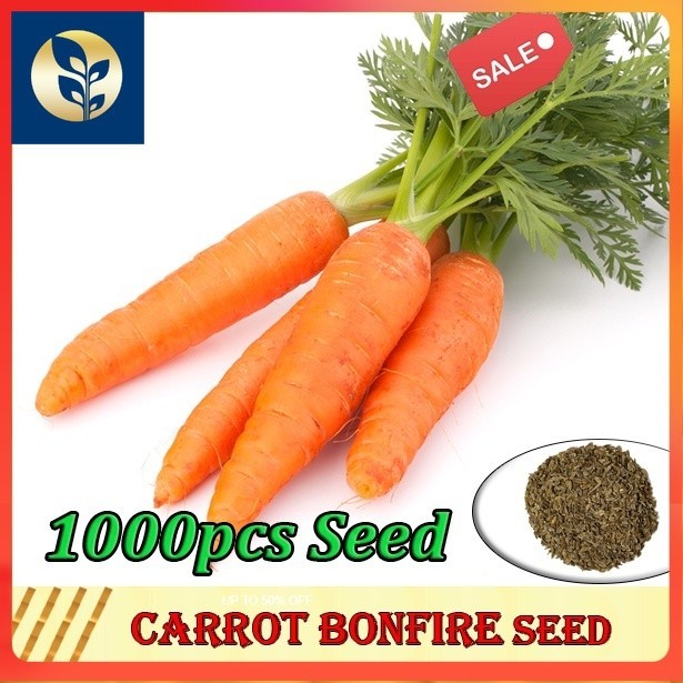 Carrot Seeds | Carrots Seeds | Vegetable Seeds | Golden Agri Enterprise ...