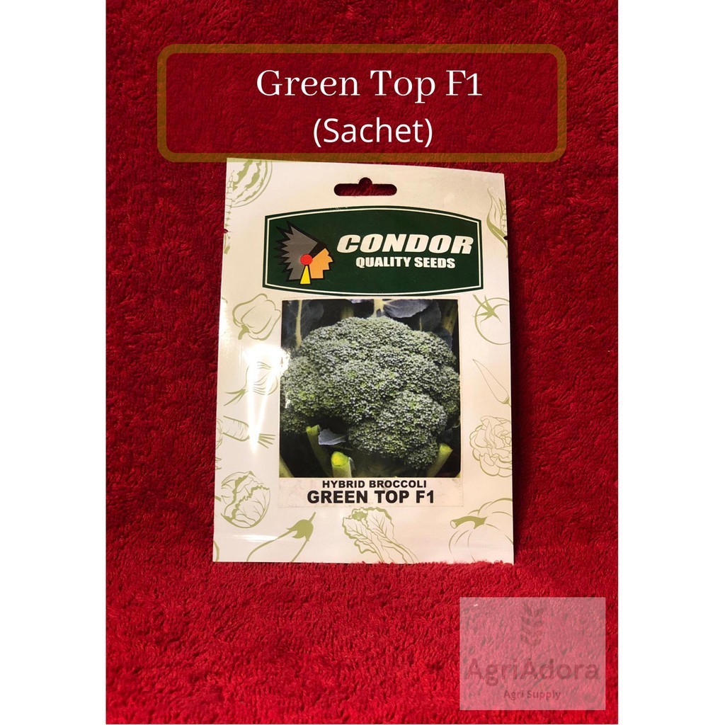 ♞GREEN TOP F1 Hybrid Broccoli Seeds (Condor Quality Seeds) | Shopee ...