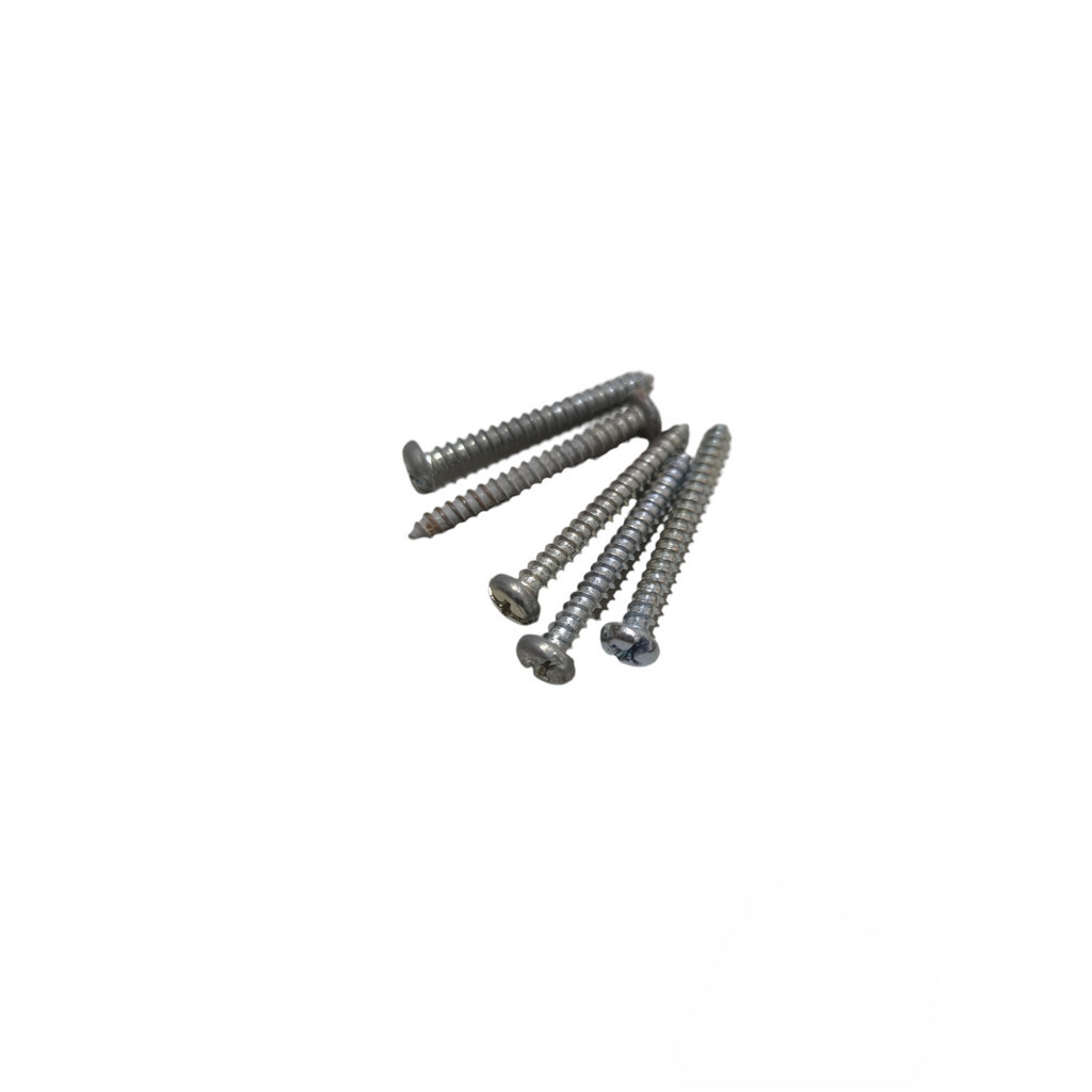 LOCAL Chrome Wood Screw available in 2 Sizes 4cm or 2.7cm length Sells ...