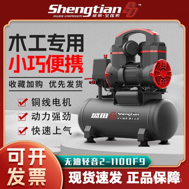 Shengtian Silent Oil-Free Air Compressor Pump25L New Mini Air ...