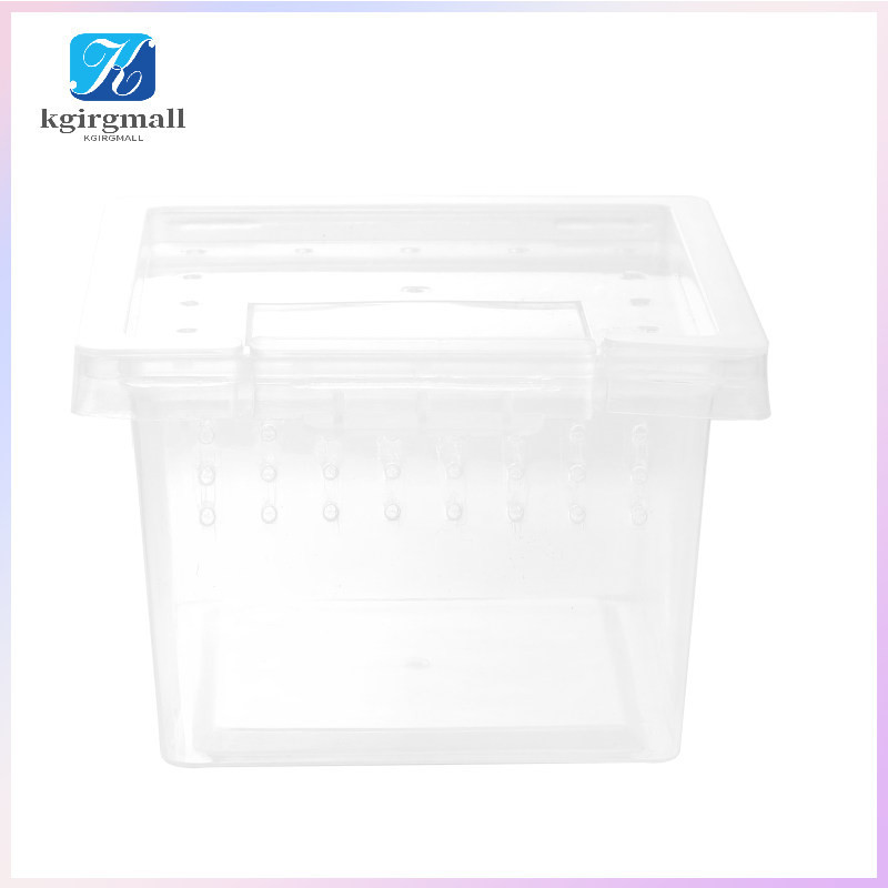 Pet Animal Insect Rearing Box Bearded Dragon Terrarium Cage Lizard Tree ...