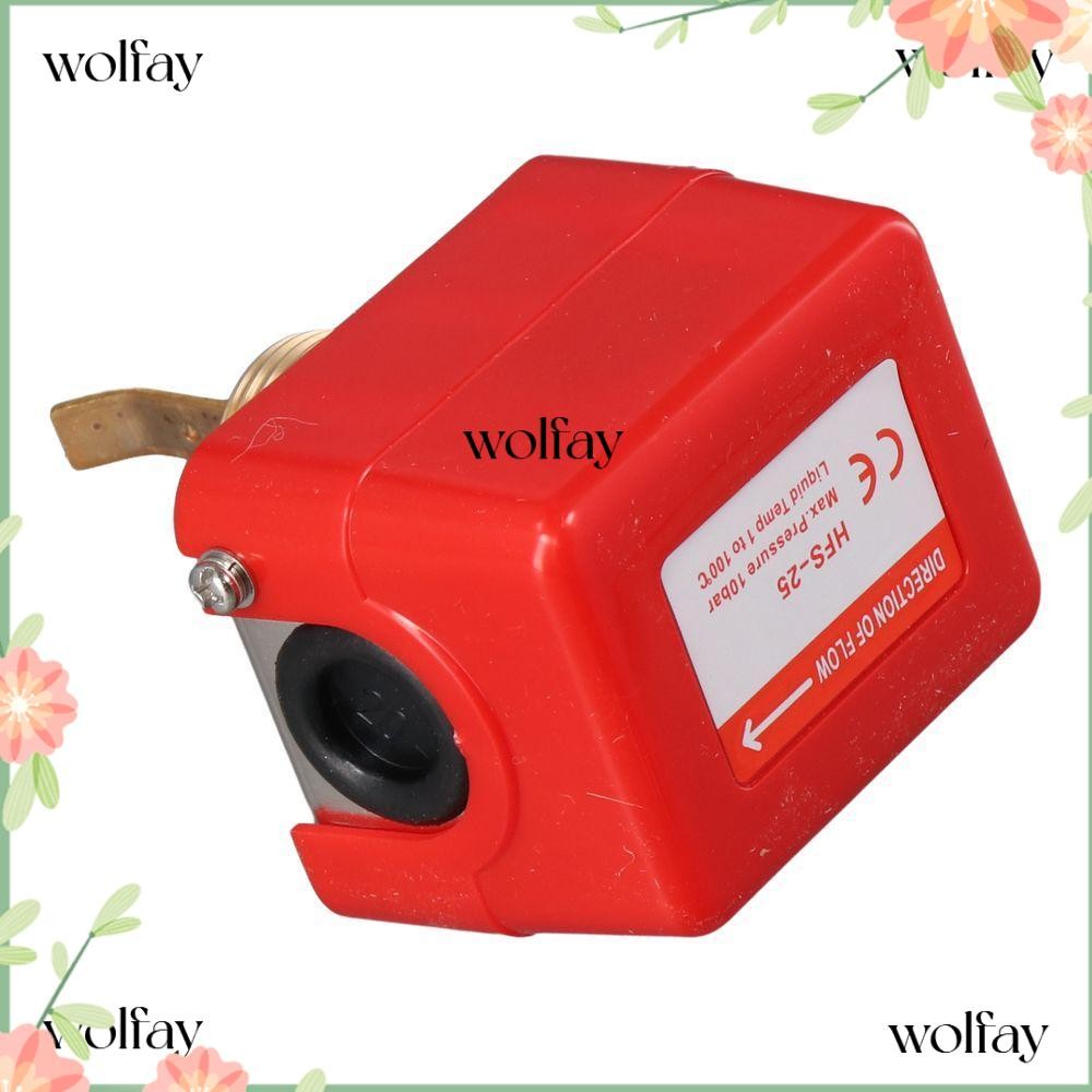 WOLFAY Water Flow Control Switch, 1inch SPT Water Flow Switch, AC220V ...