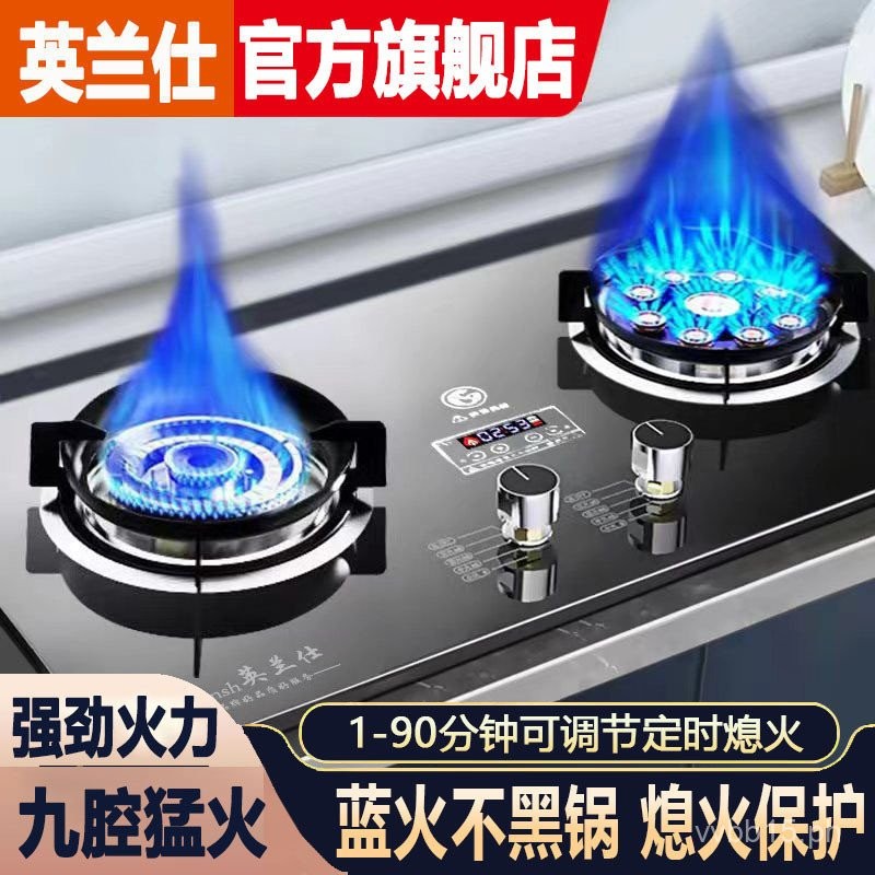 Yinglan Shi Gas Stove Double Burner Household Gas Stove Natural Gas ...