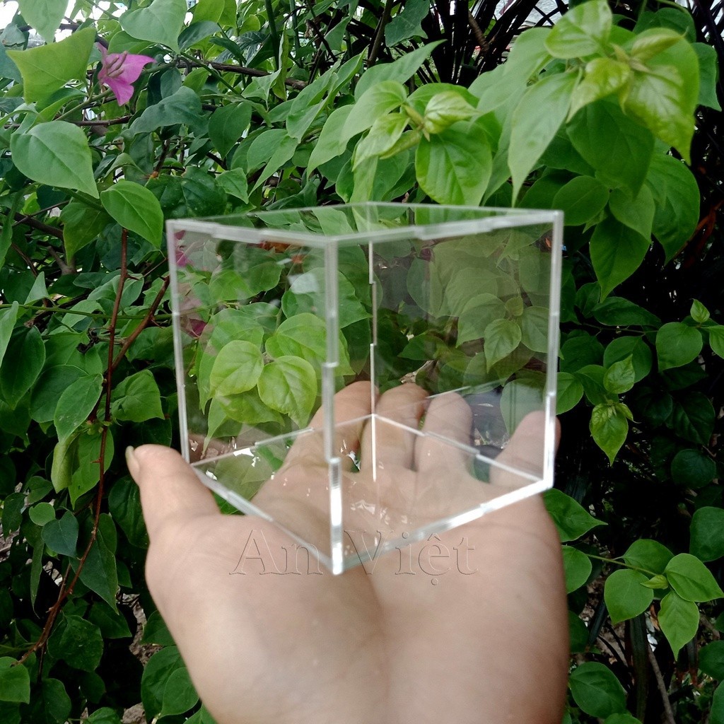 Transparent mica box combo of 6 self-assembled mica panels available ...