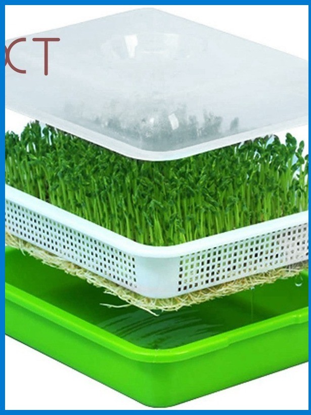 Sprouter Tray with Lid BPA Sprout Grower Sprouting s Tray "w8 | Shopee ...