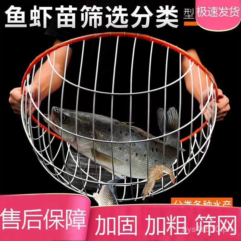 Fish Fry Size Grading Steel Wire Fish Sieve Non-Stainless Steel Non ...