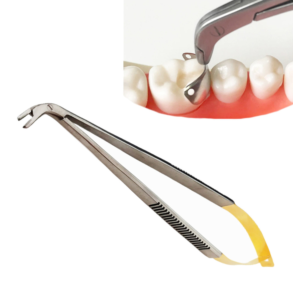 Dental Bean Molding Piece Placement Pliers 16CM Dental Matrix Clamping ...