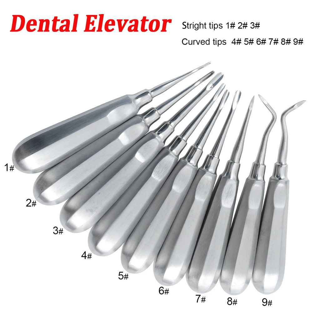 Dental Elevator Tooth Elevator Stright Curved Root Elevator Dentist ...