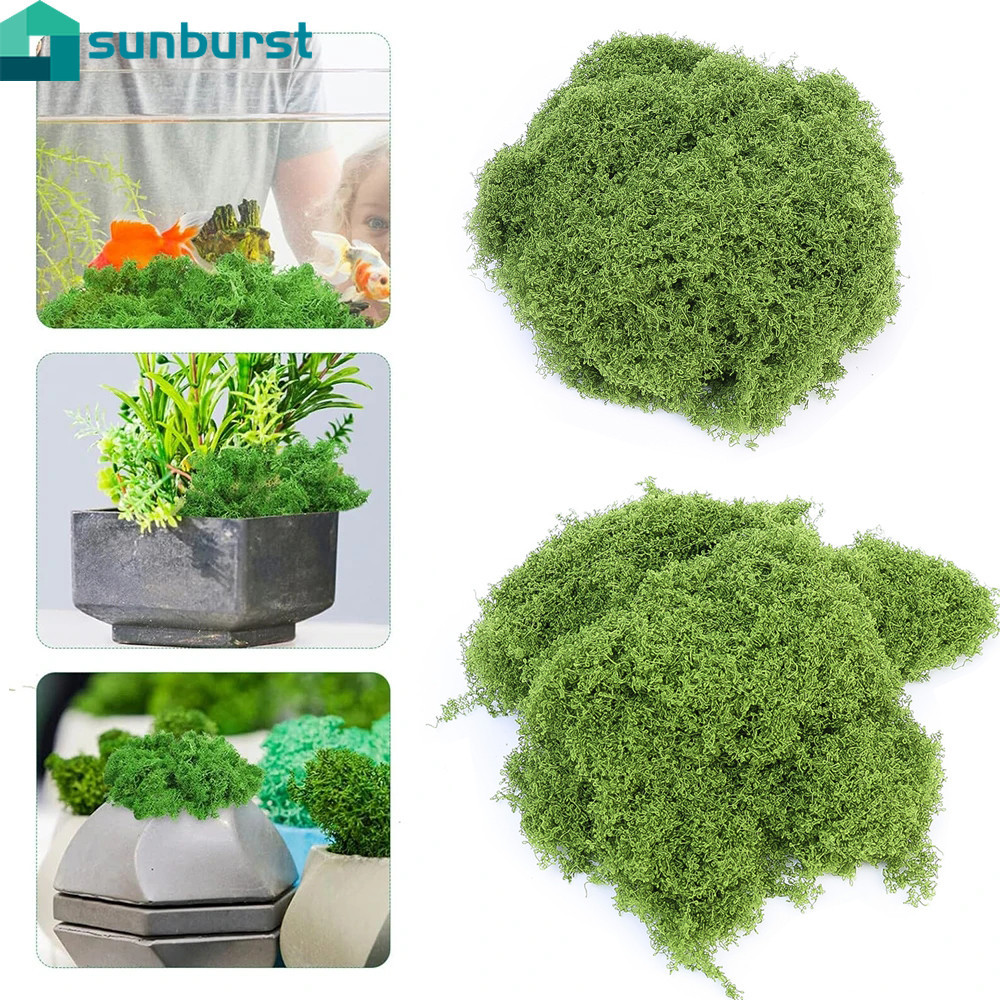 30/50g Green Artificial Moss - DIY Mini Potted - Desktop Bonsai ...