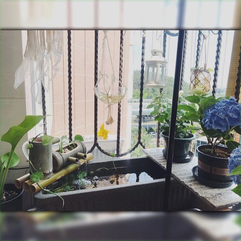 Manger Water Tank Fish Tank Plastic Rectangular Flower Pot Balcony ...