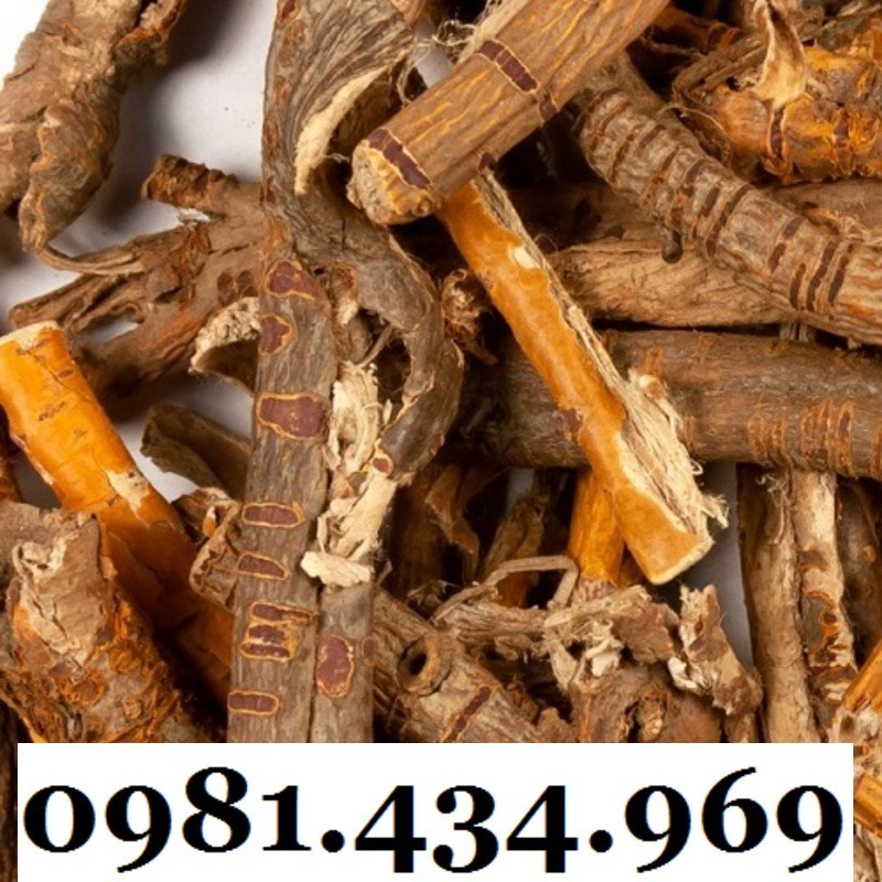 Dried Mulberry Root Peel 500G (Tang Bach Bi, Re Dau Tam) Genuine ...