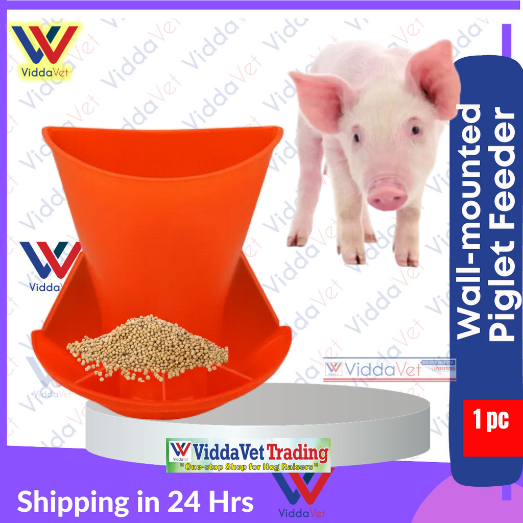 Wall Mounted Plastic Piglet Feeder Pig Farm Equipment Plastic Piglet ...