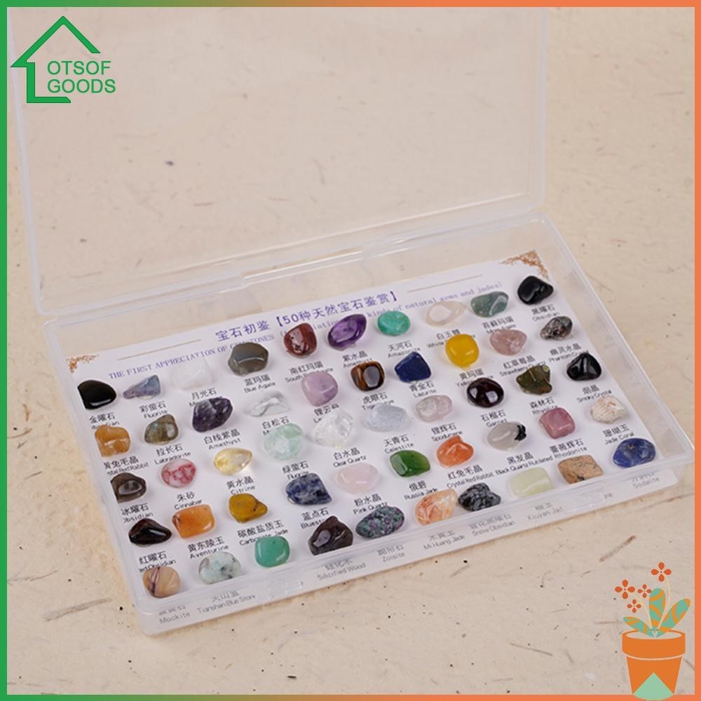 lotsofgoods 50PCS/Box Irregular Geology Rock Specimen Mineral Sample ...