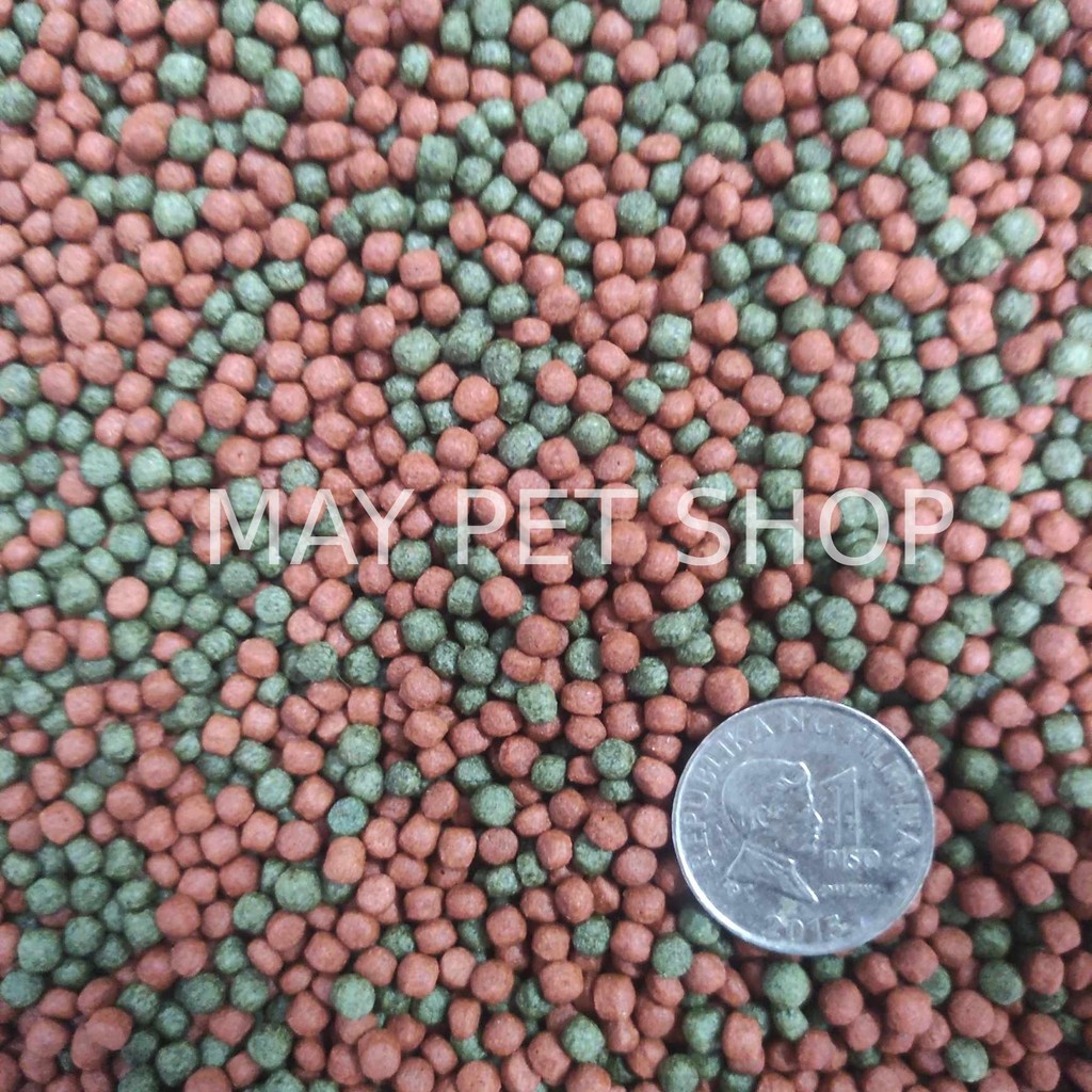 High Protien Floating Tropical Rainbow Pellet Fish Food (Medium ...