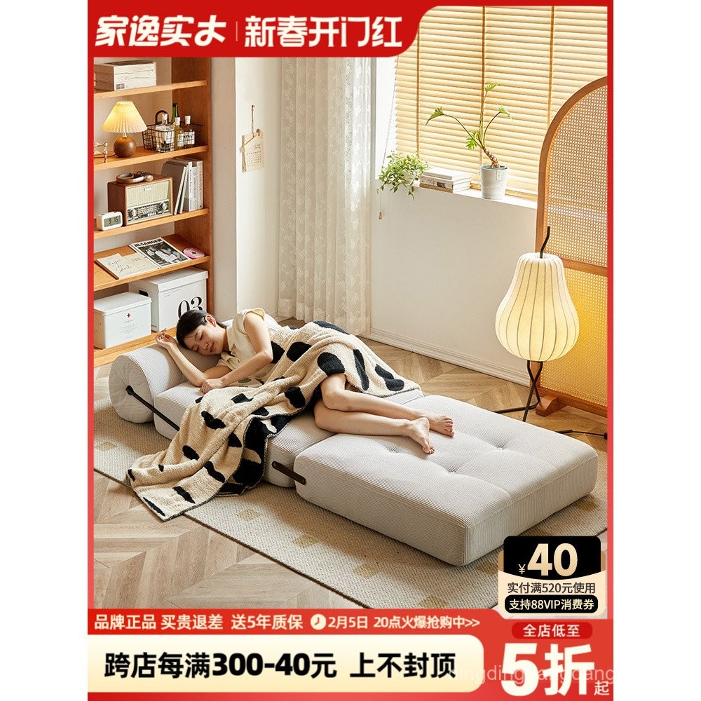 Single Sofa Bed Folding Dual-use Tatami Living Room Sleepable Reclining ...