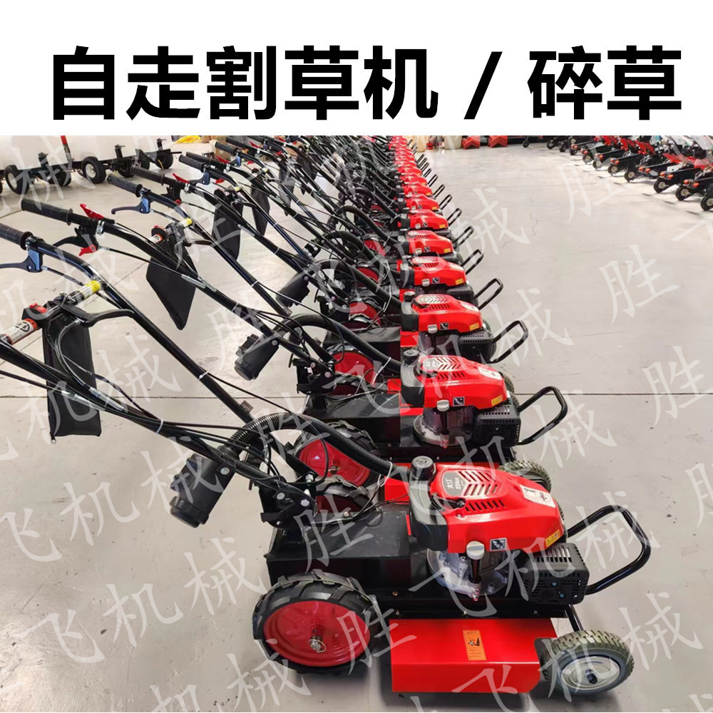 New Self-Propelled Mower Agricultural Shredder Orchard Reclamation ...