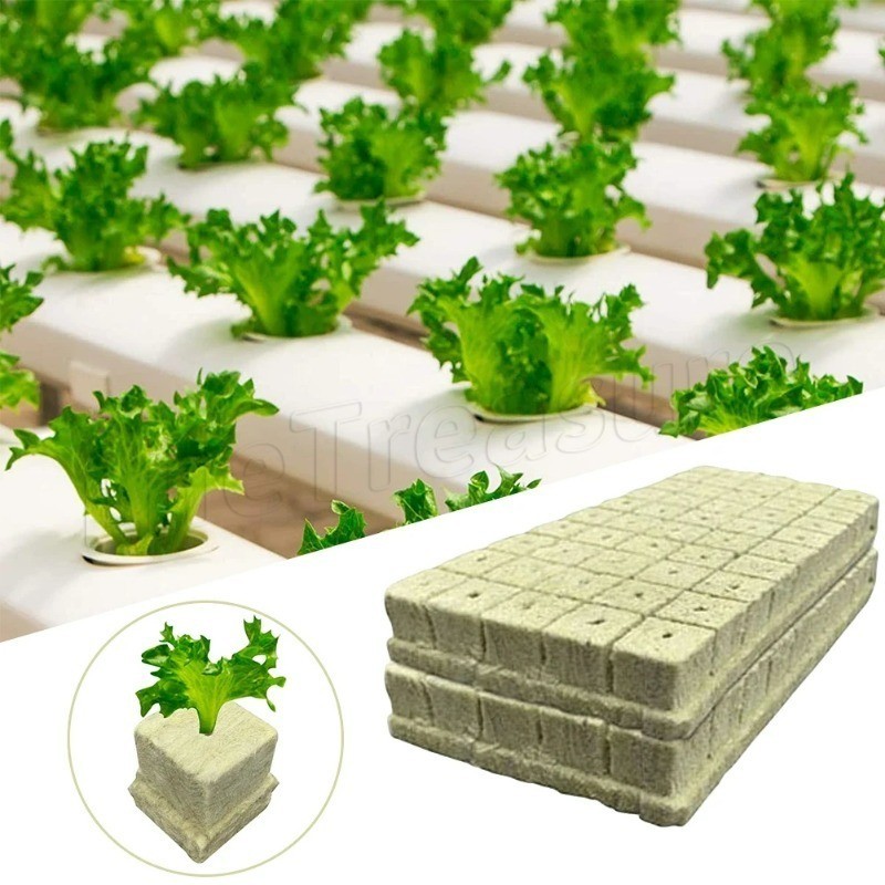 Cultivation Planting Blocks - Rockwool Cubes - No Soil Cultivation ...