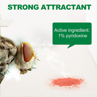 25x Fast Effective Powder Killer Flies Powerful Poison Medicine Fly ...