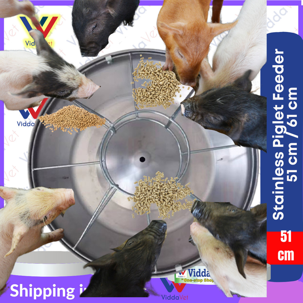 Viddavet Big Stainless pig feeder stainless steel pig feeder stainless ...