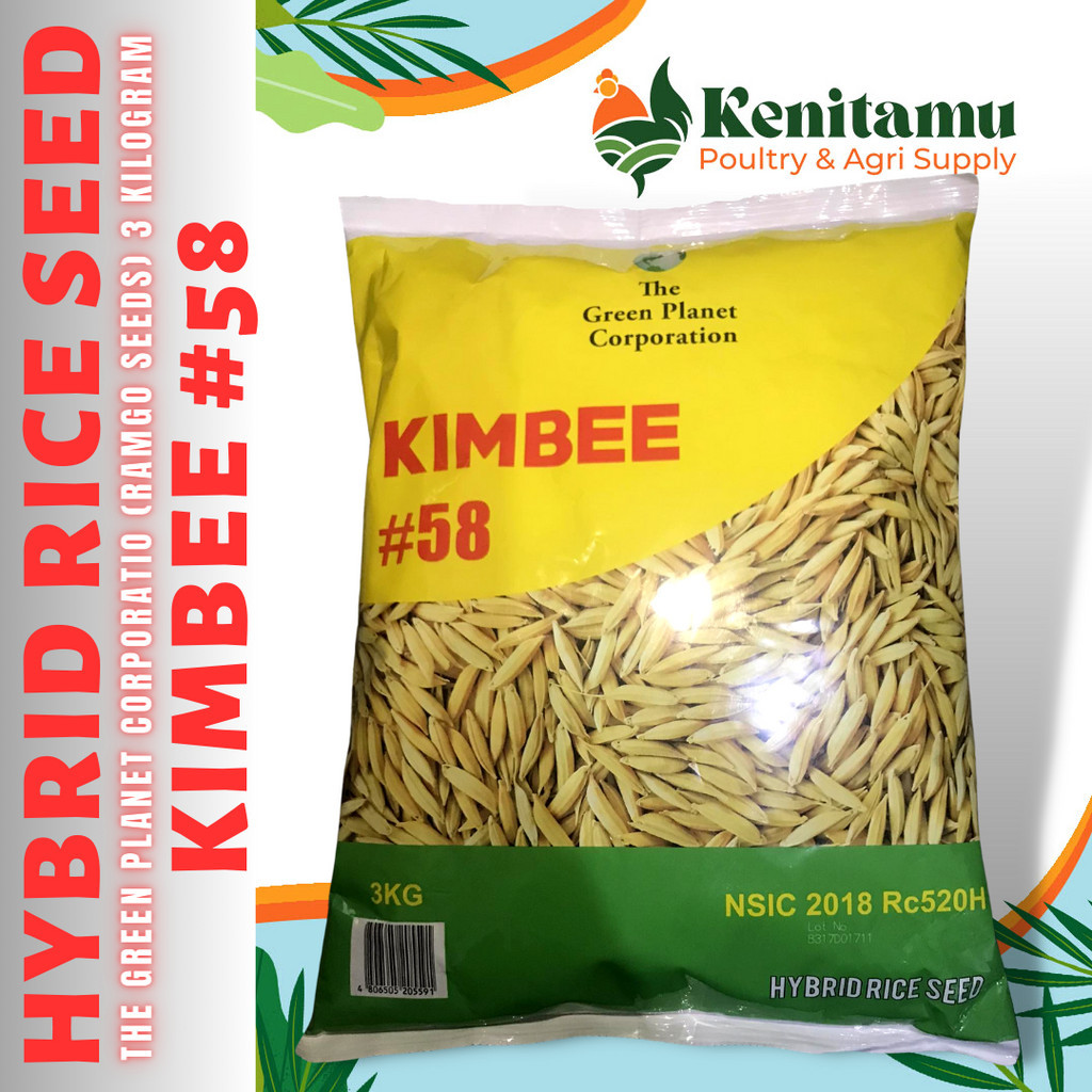 HYBRID RICE SEED-KIMBEE #58- Ramgo Seeds 3kg | Shopee Philippines