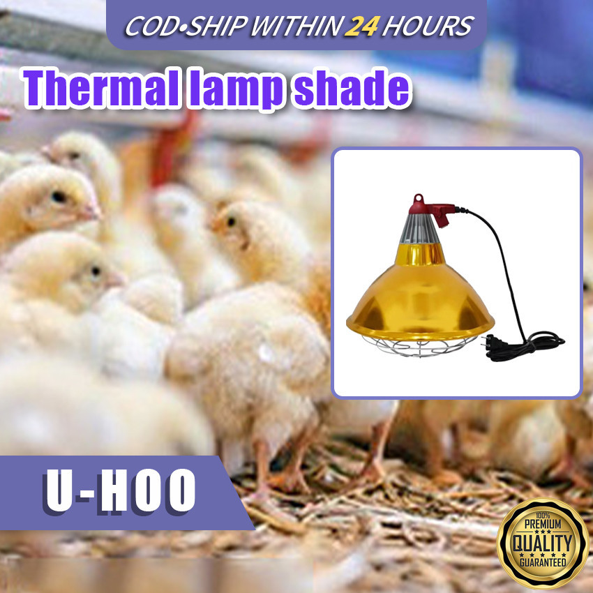 Golden Big Breeding Insulation Lampshade Brooder Heat Lamp 100W Pig ...
