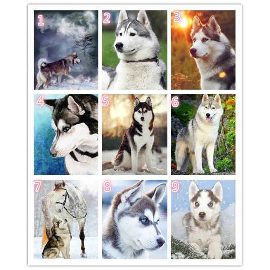 YoYo ️5D Round DIY Diamond painting husky cute dog embroidery home ...