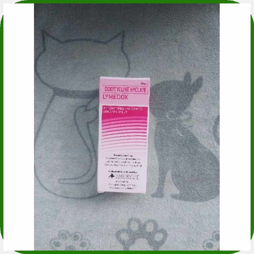 LYMEDOX]rs=for-eW$Cats+s@I@V@O@c@J and Dogs 60ml | Shopee Philippines