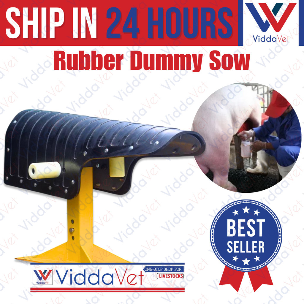 Viddavet Rubber Dummy sow for pig boar animal artificial insemination ...