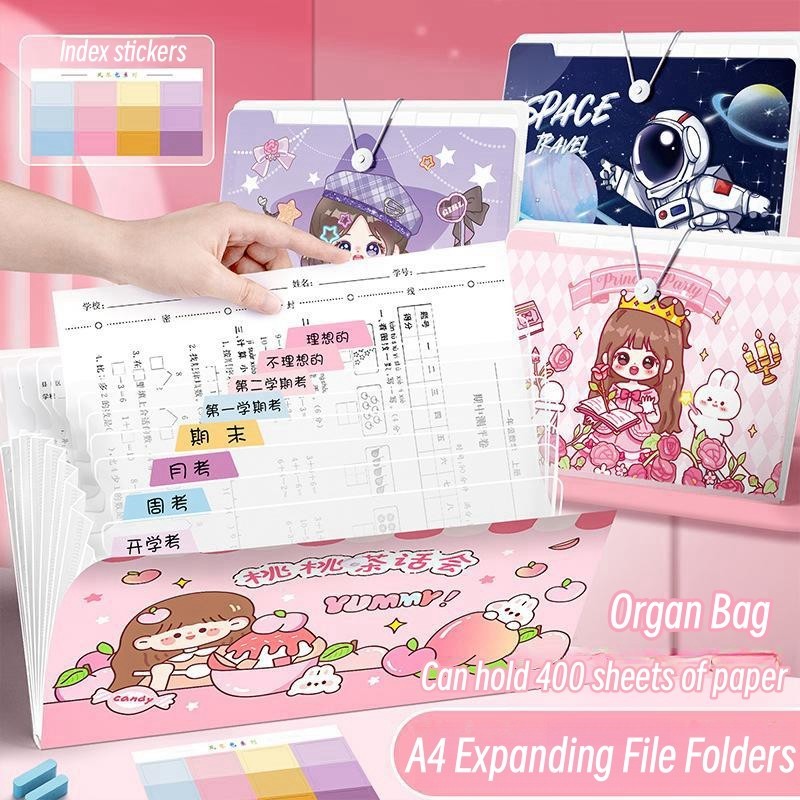 A4 Expanding File Folders Organ Bag 12-Layer Cartoon Document Organizer ...