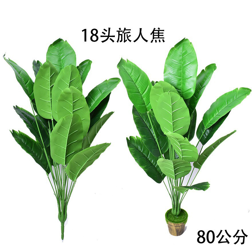 Big 18 travelers Jiao bird of paradise tropical rainforest decoration ...