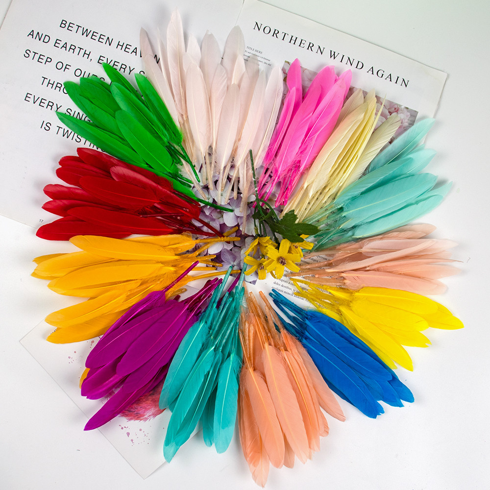 50/100Pcs 10-15cm Colorful Duck Feathers for Crafts Natural Goose ...