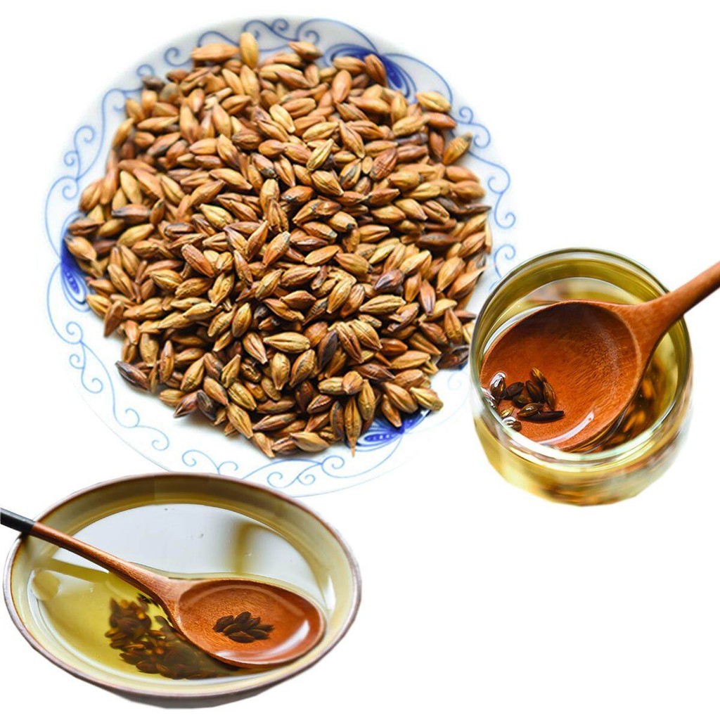 Japanese Mugicha Korean Boricha Barley Tea Herbal Tea Natural Original ...