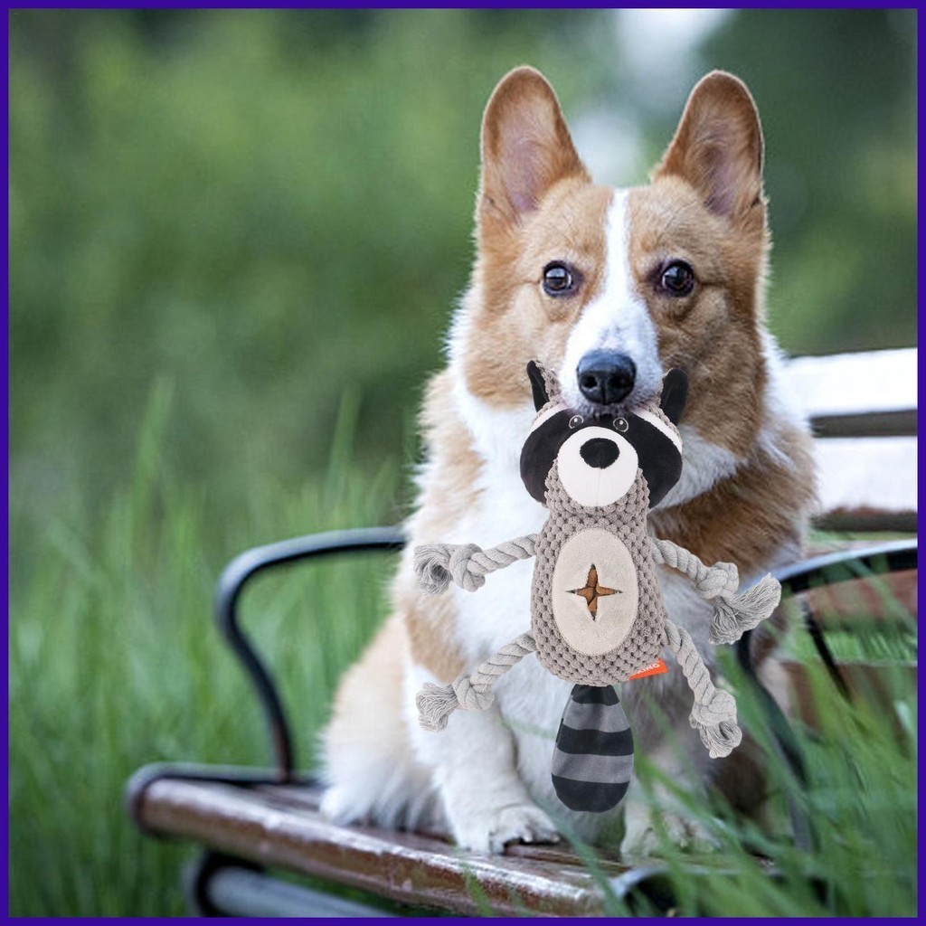 Puppy Teething Chew Toys Dog Plush Toy Multi-Functional Feeder Teething ...