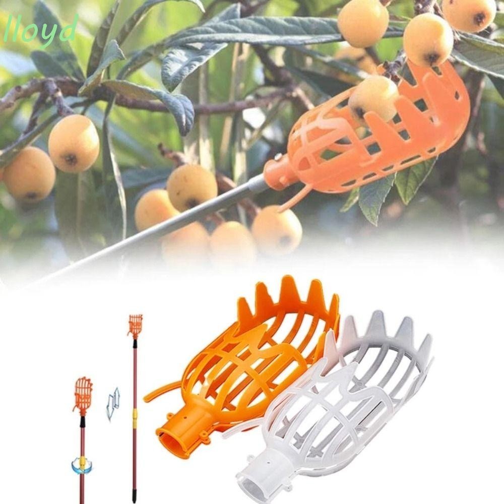 LLOYD1 Fruit Picker, High-altitude Head Picking Bayberry Tool, Portable ...