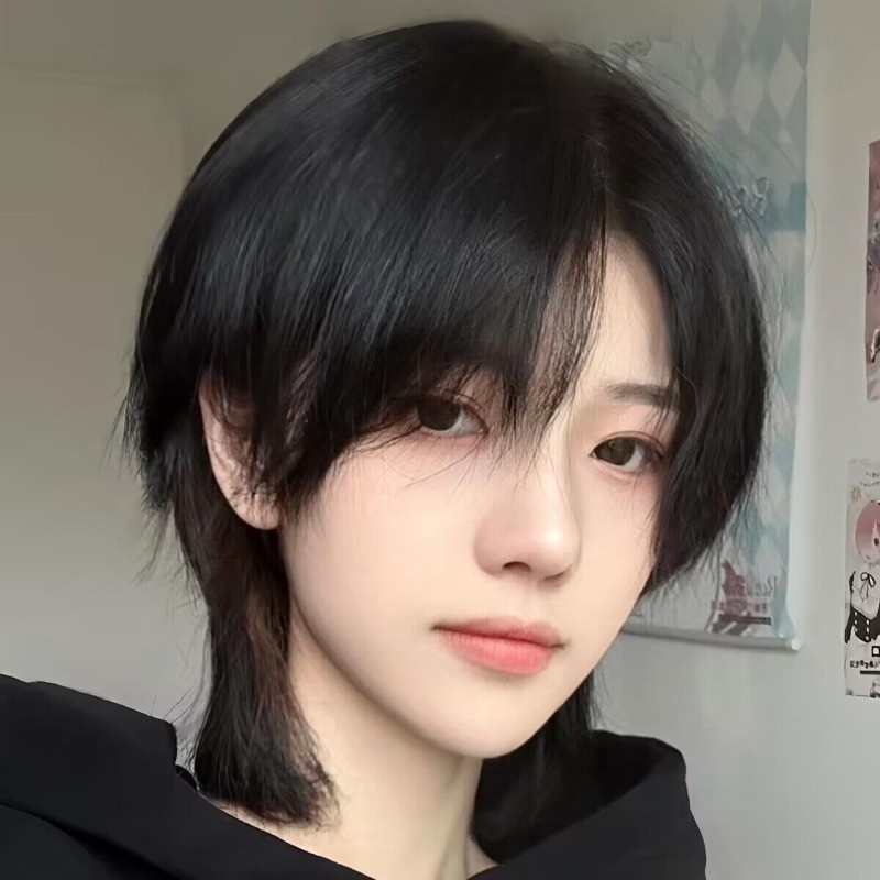 Wigsunisex Short Straight Hair Wolf Tail Japanese Mullet Head Neutral Full Head Wig Shopee