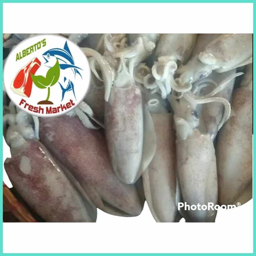 FRESH$W,SEAFOODS>qa@SQUID;m&(`o&PUSIT)`J&500g | Shopee Philippines