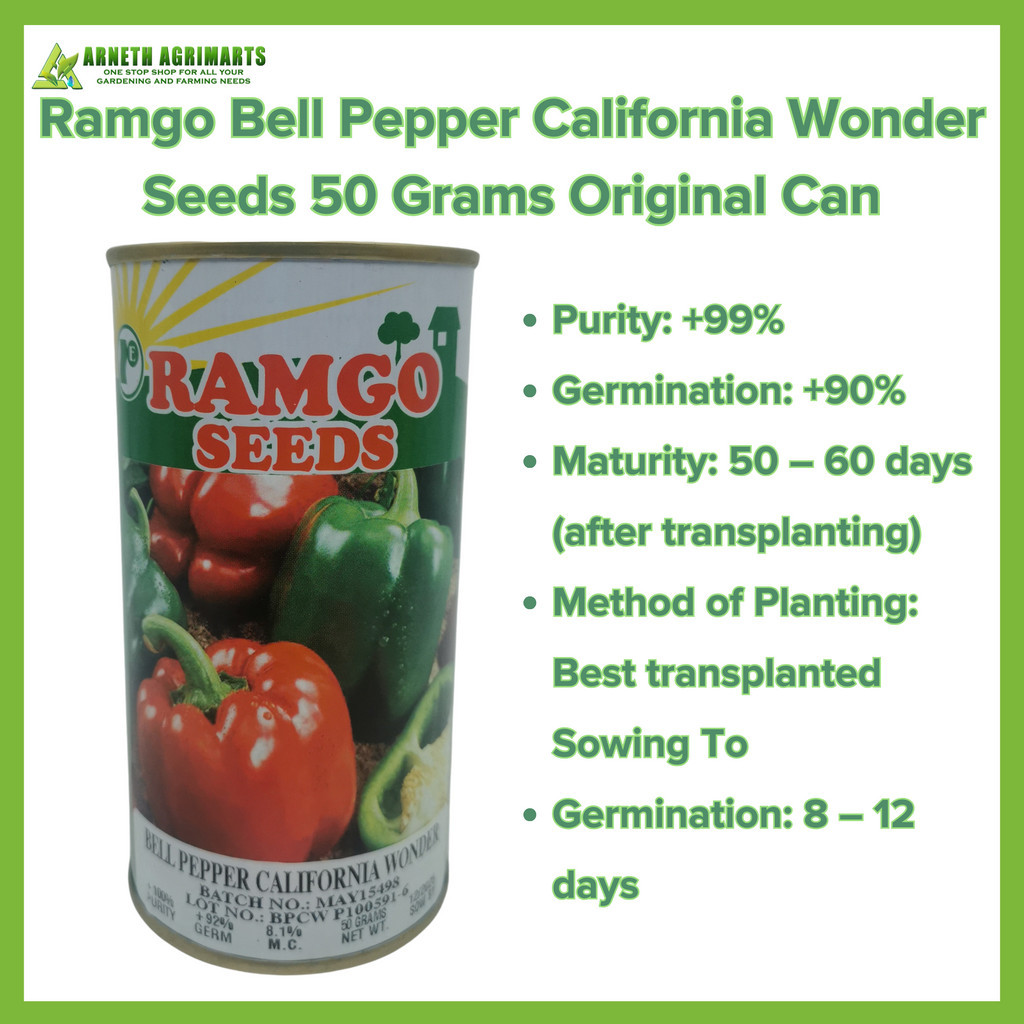 RAMGO BELL PEPPER CALIFORNIA WONDER SEEDS 50 GRAMS ORIGINAL CAN ...