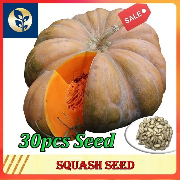Squash Seeds | Kalabasa Seeds | Golden Agri Enterprise | Shopee Philippines