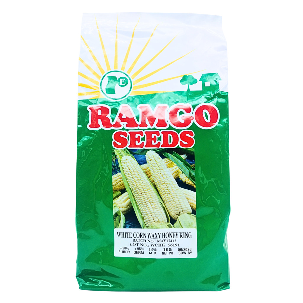 RAMGO WHITE CORN WAXY HONEY KING SEEDS 1 KILOGRAM ORIGINAL PACK DAGHANG ...