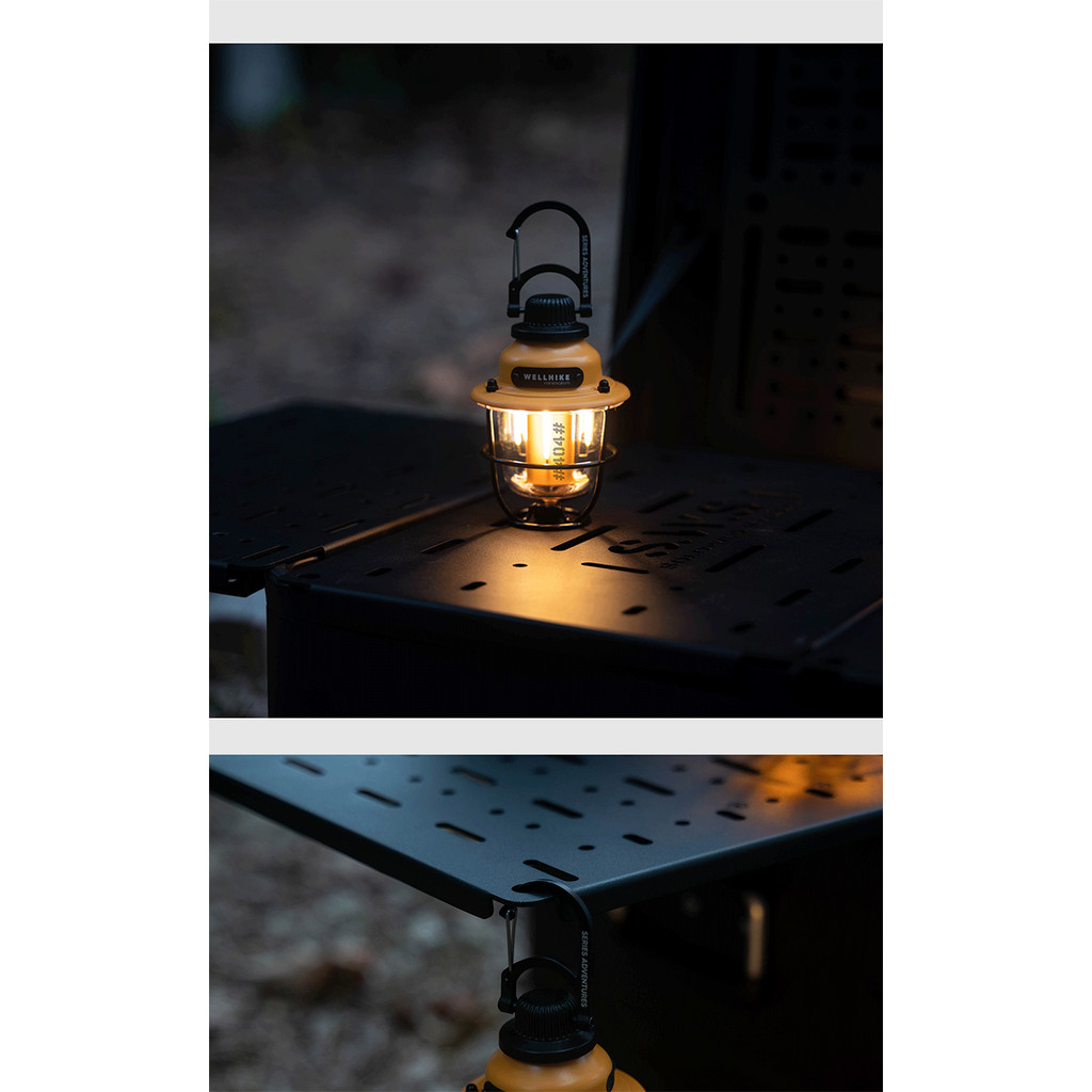 WELLHIKE Outdoor Lock Loose Fruit Lamp Ultra -Long Closer -End Photos ...