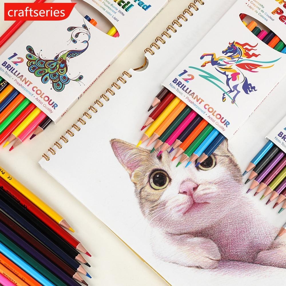 CRAFTSERIES 12 Color Colored Pencils Sketching Set Metallic Coloring ...