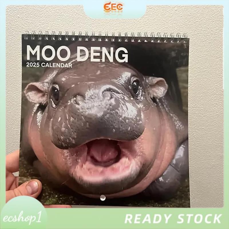[ecshop1.ph] Moo Deng Calendar 2025 Desk Calendar & Calendar , Moo Deng ...