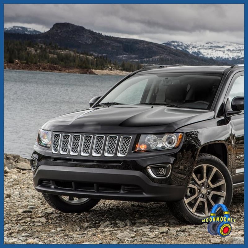 MOOMMY Plastic Grille Grille Trim Molding Insert Fit Front Grille ...