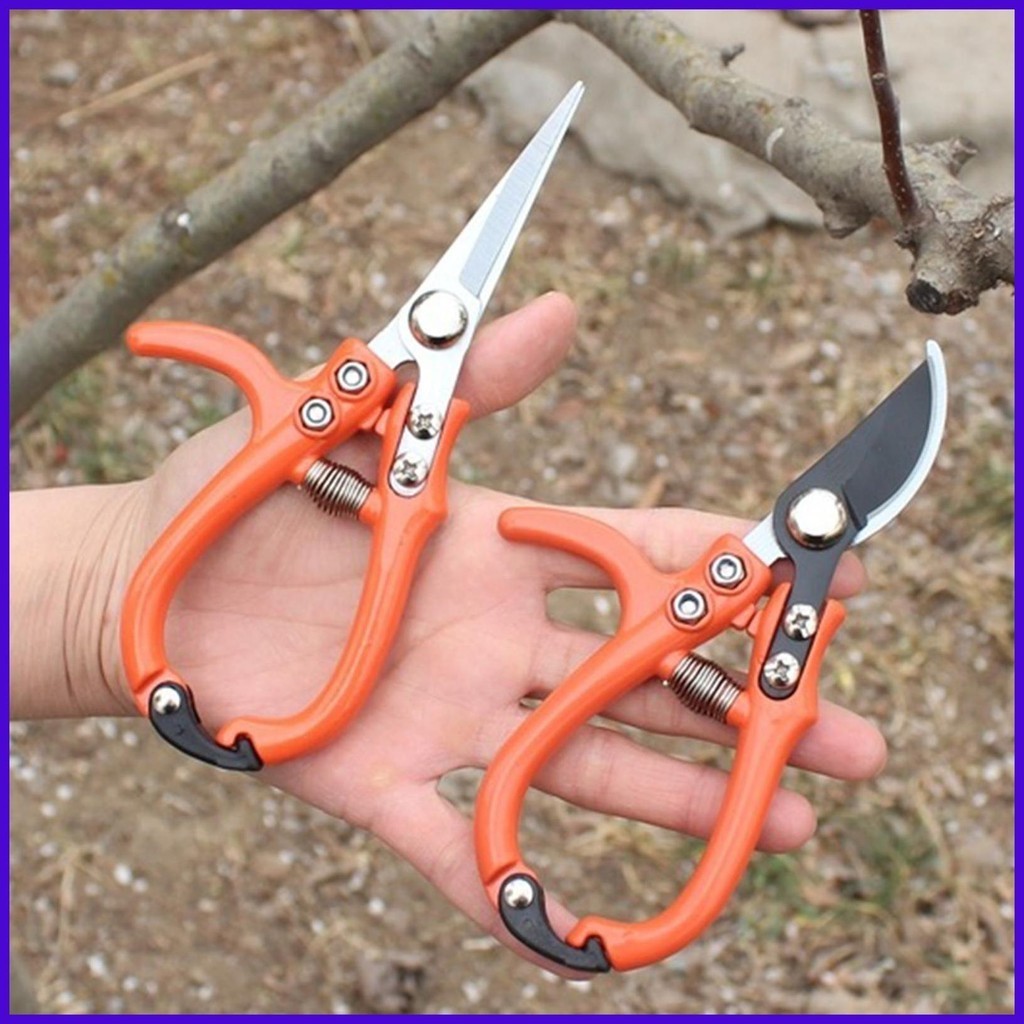 Garden Scissors for Plant Professional Pruning Scissors for Plant ...