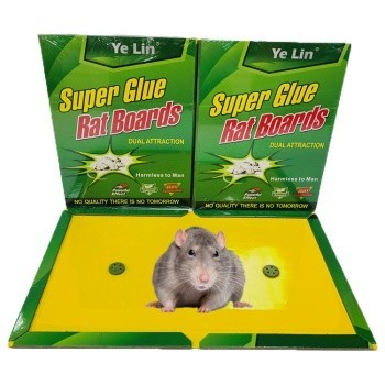 Someday Green Card Power Mouse Rubber Sheet/mouse trap/traps/mouse ...