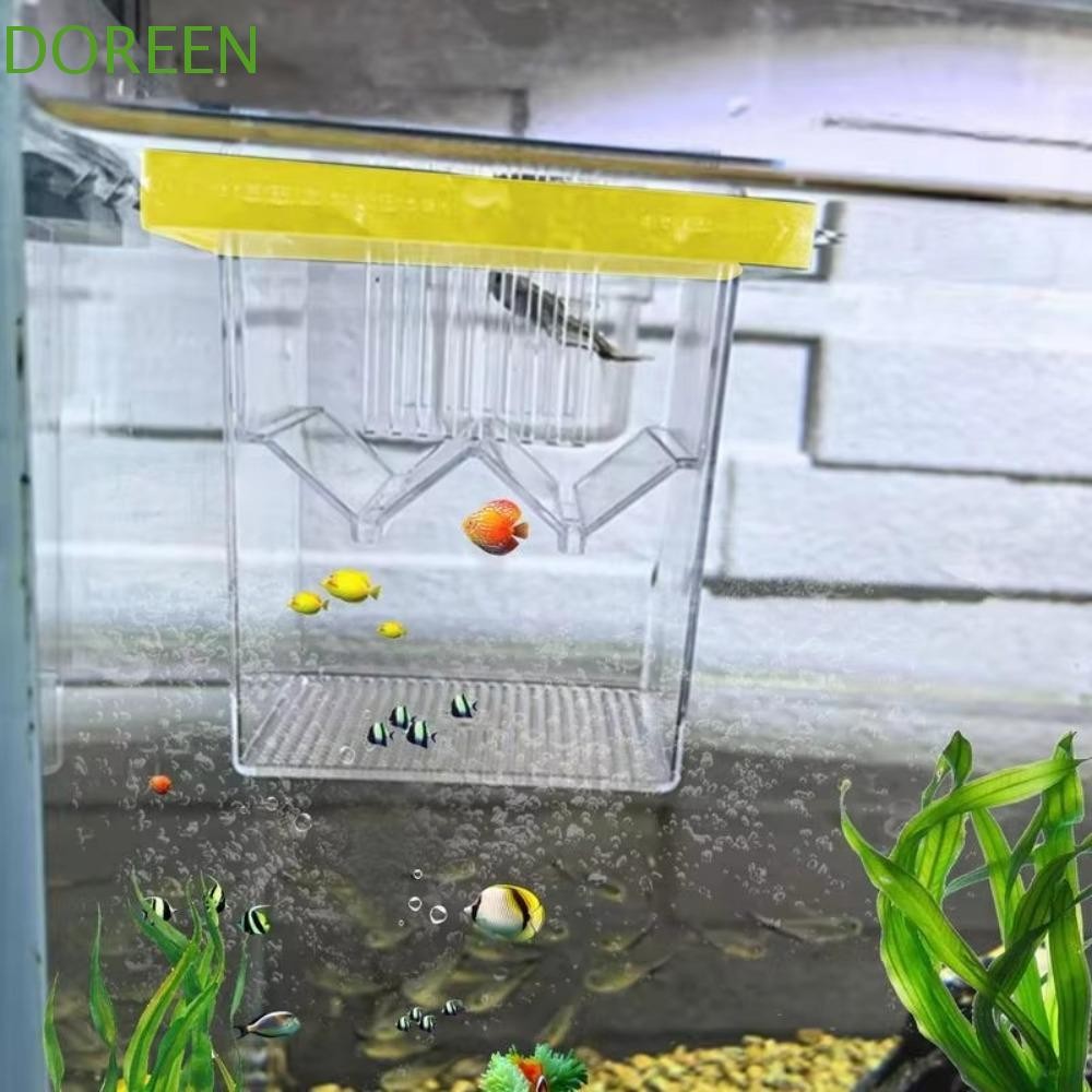DOREEN Floating Fish Breeding Box, Acrylic Square Aquarium Fish ...