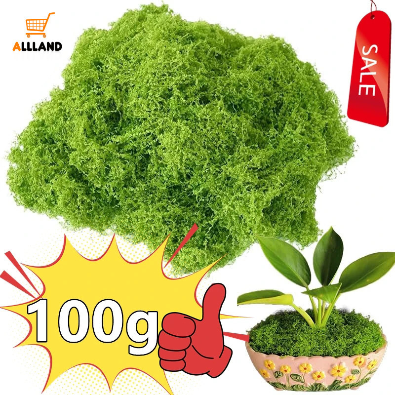 50/100/150/200g Artificial Garden Plastic Moss Simulation Eternal Life ...