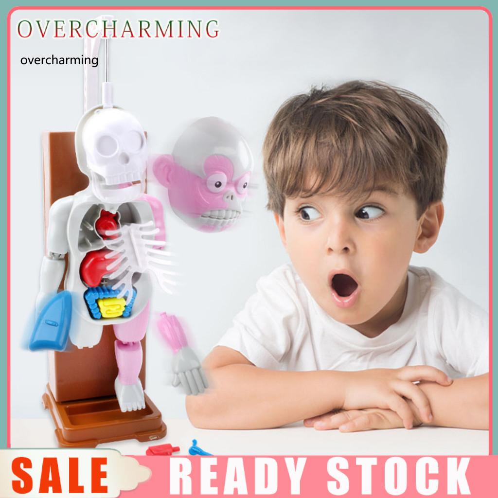 37Pcs/set Horror Mannequin Educational Horrific Sounding Halloween Prop ...