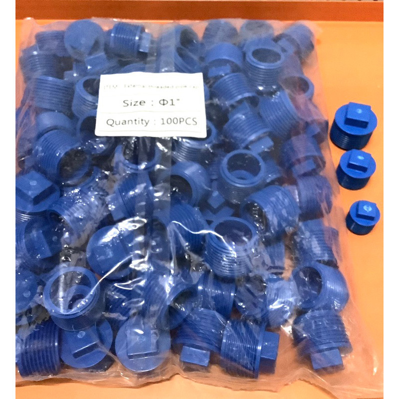 pvc blue enternal threaded pipe cap 1/2" 3/4" 1" 50pcs | Shopee Philippines