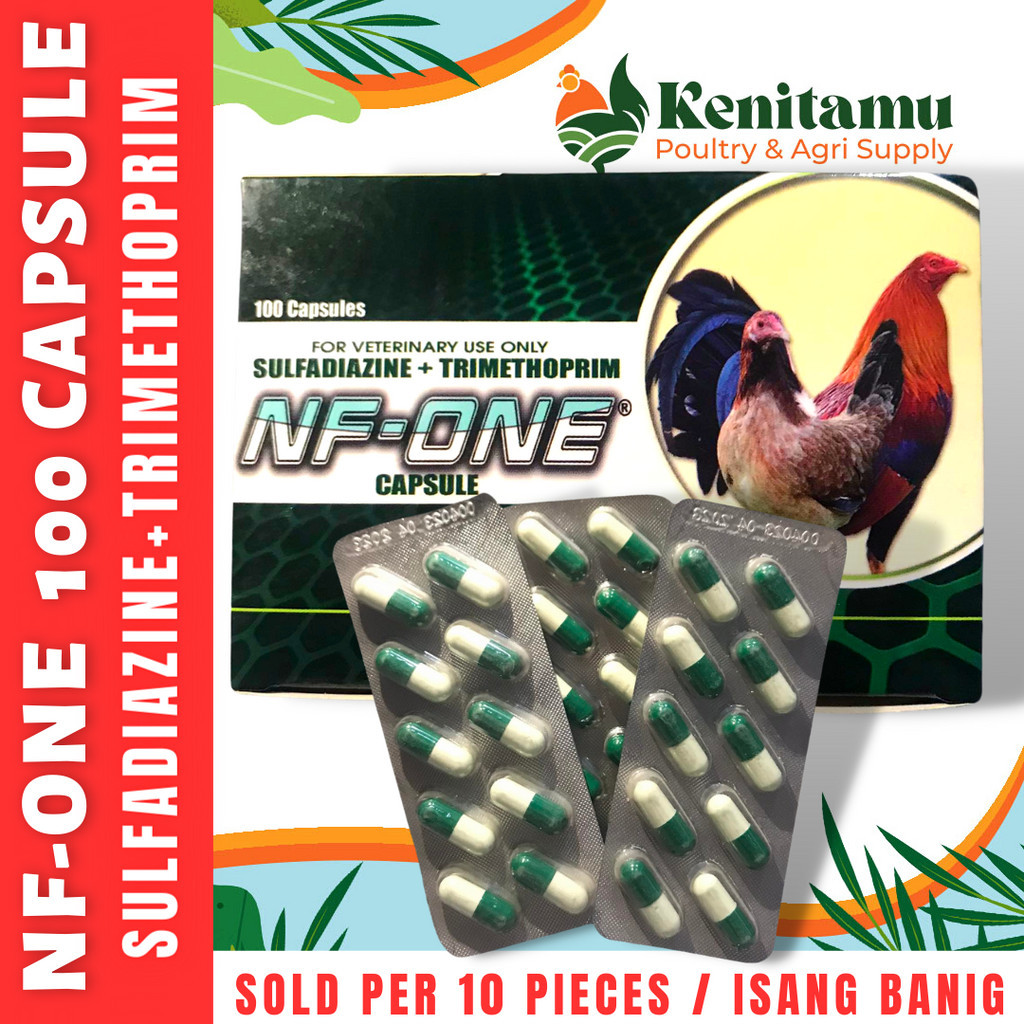 EXCELLENCE- NF-ONE 100 CAPSULES- SOLD BY 10 PIECES/ ISANG BANIG ...